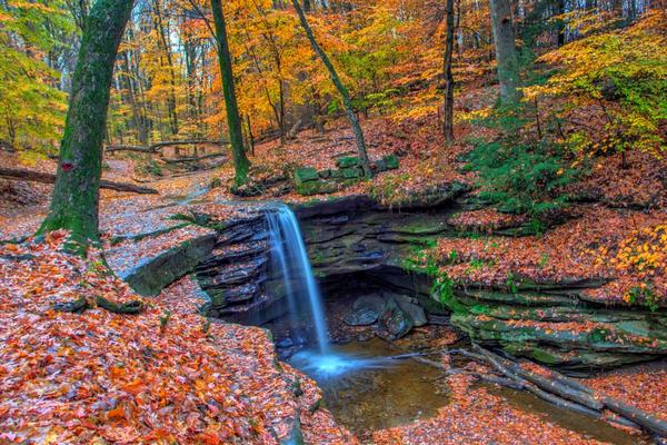 Visiting Dundee Falls: What to Expect - Your Family's Place